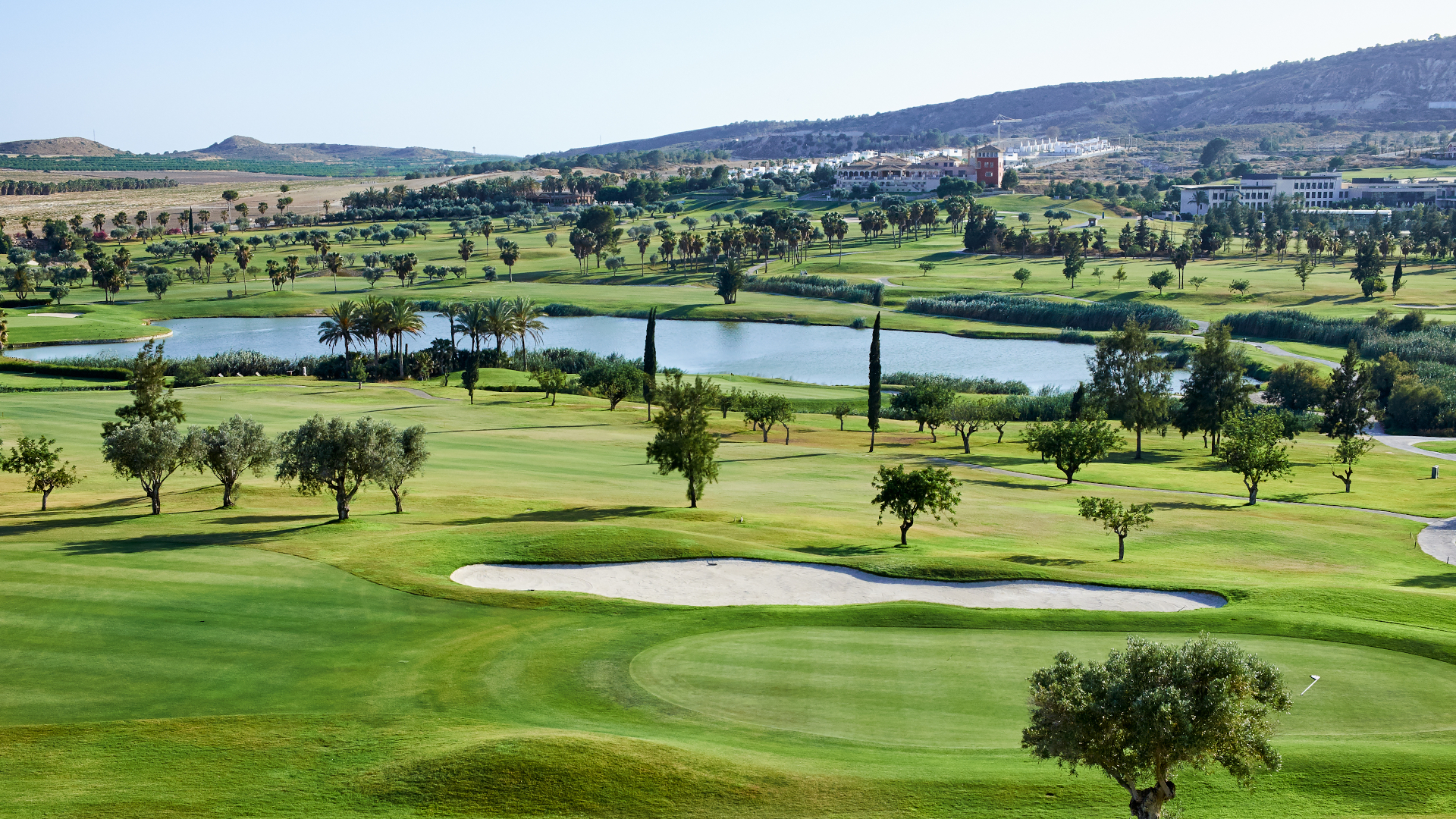 Algorfa area guide